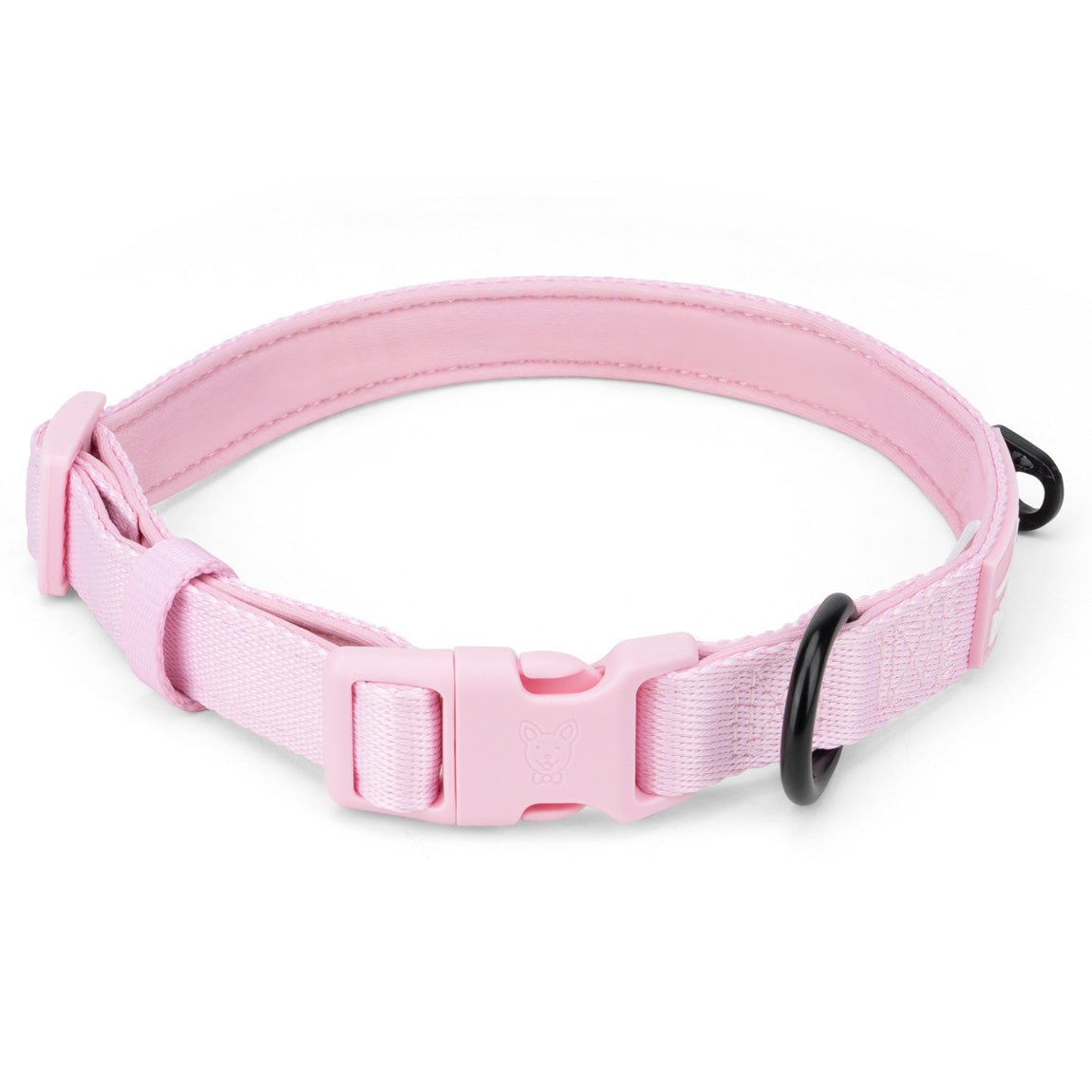 Light Pink Dog Collar – Beast & Buckle